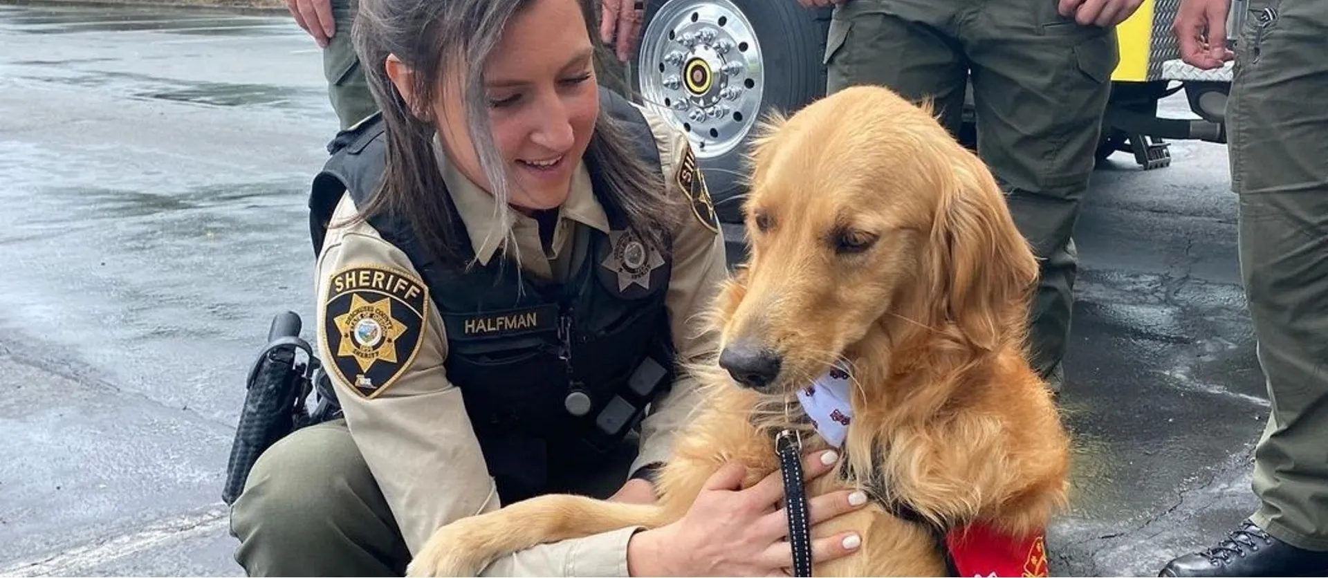 Paws That Help: How Therapy Dogs Improve Police Officer Wellness ...